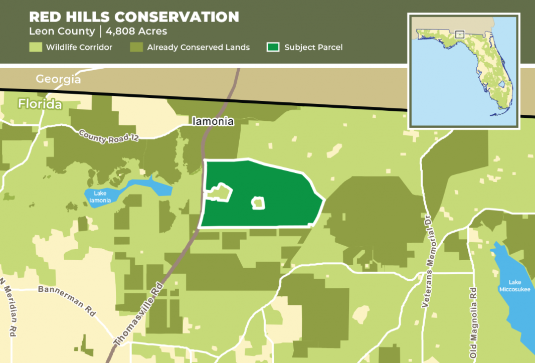 North Florida Land Deal Finalized – Tallahassee Reports